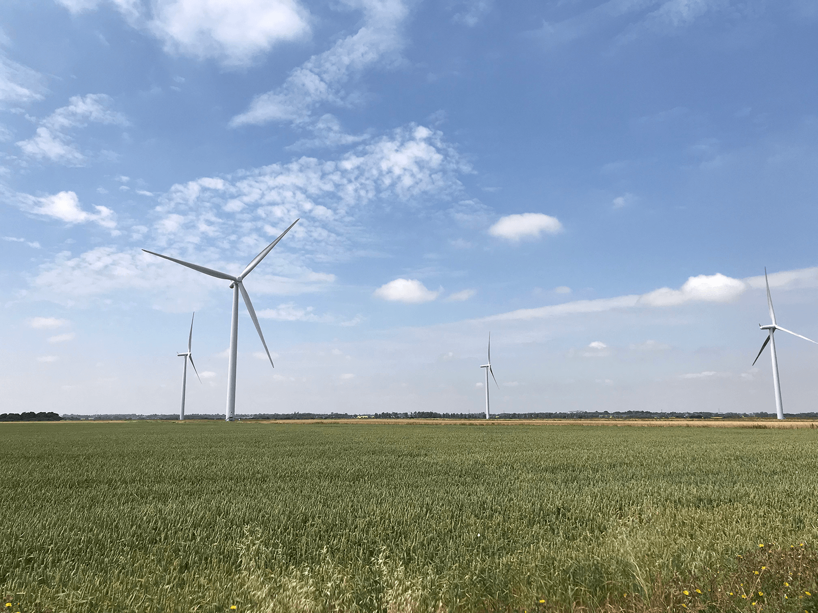 Cubico Sustainable Investments se une a Global Wind Organization - Cubico