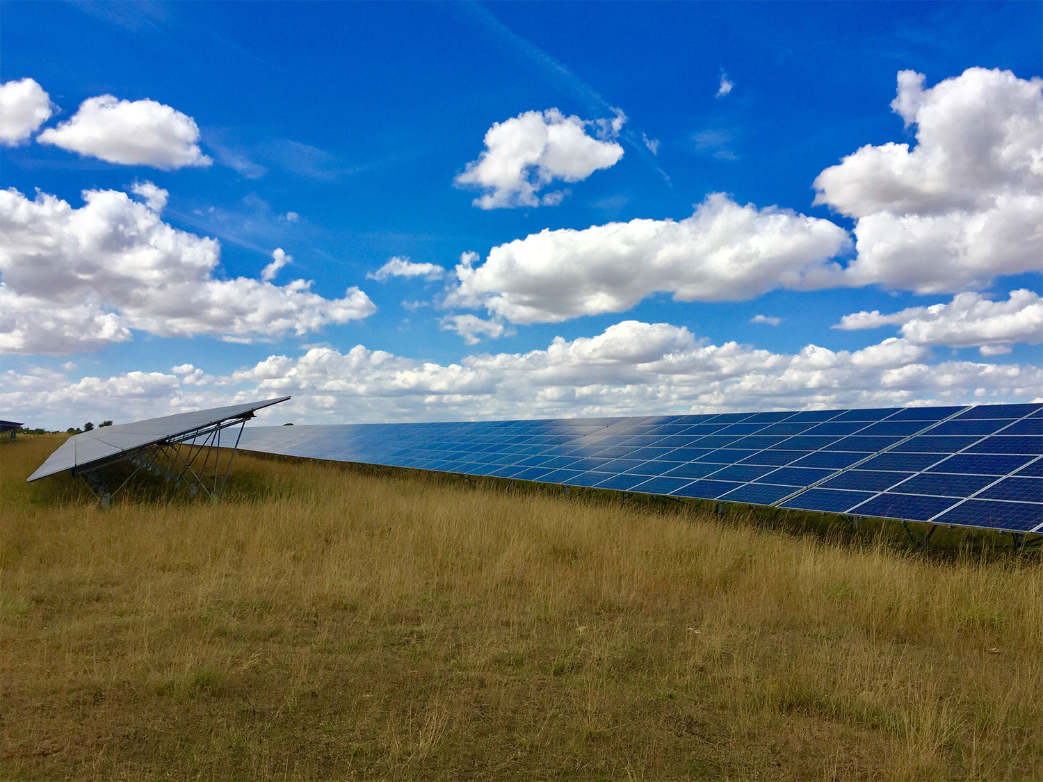 Renewable energy experts join forces to increase UK’s wind and solar ...