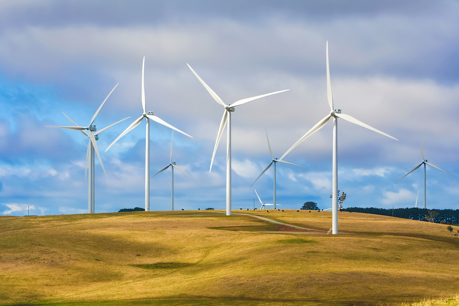 Delburn Wind Farm awards community grants - Cubico