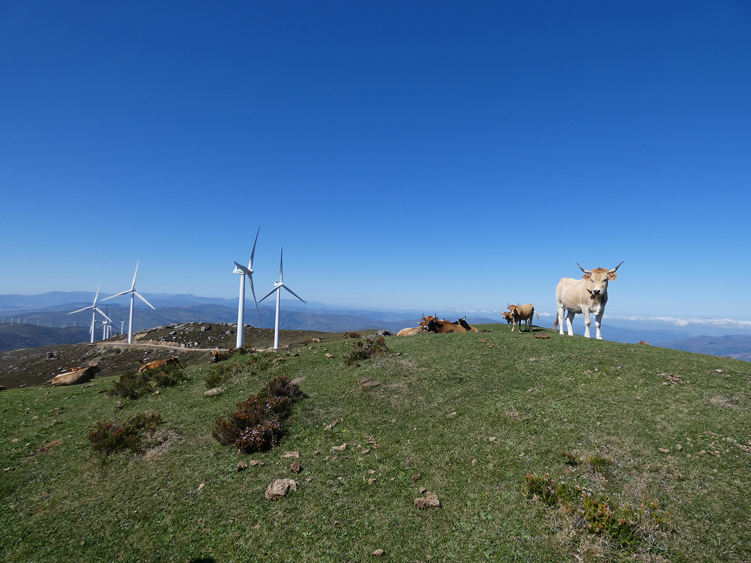 Cubico Sustainable Investments acquires stake in 33 MW Spanish wind ...